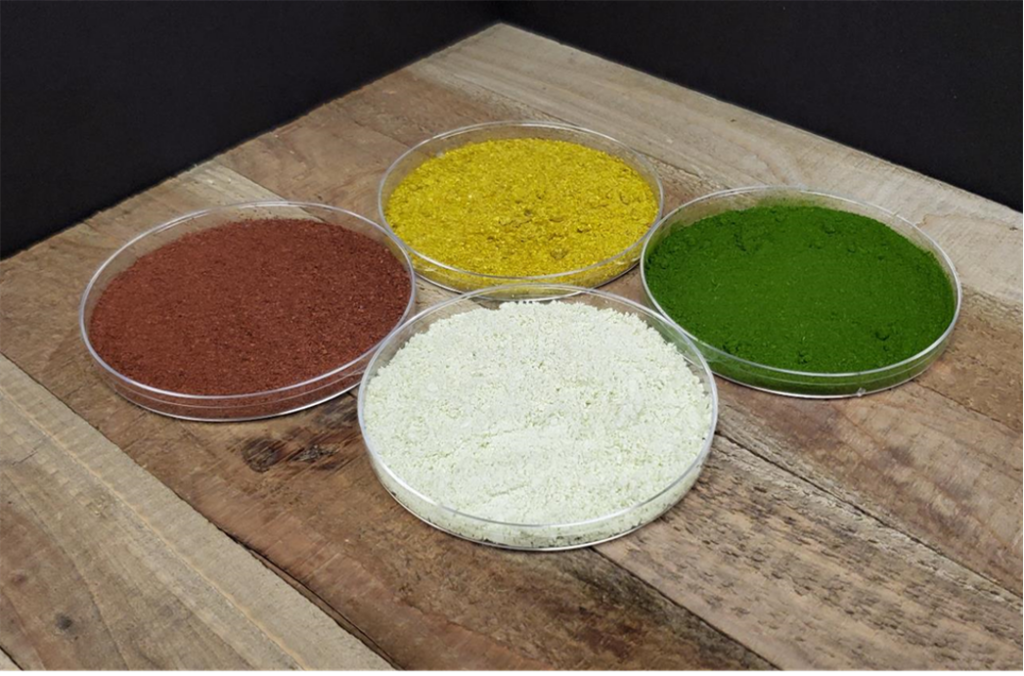 Triton Algae Innovations: Ushering in the Algae-based Alt-Protein Movement