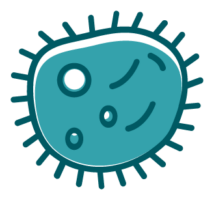 The Good Food Institute Asia Pacific