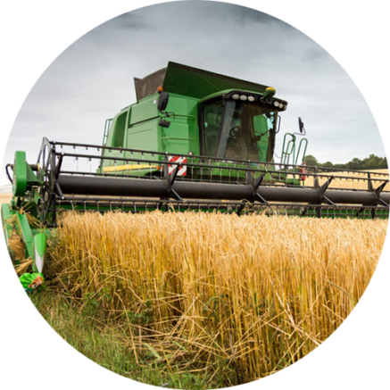 The science of plant-based meat | GFI APAC