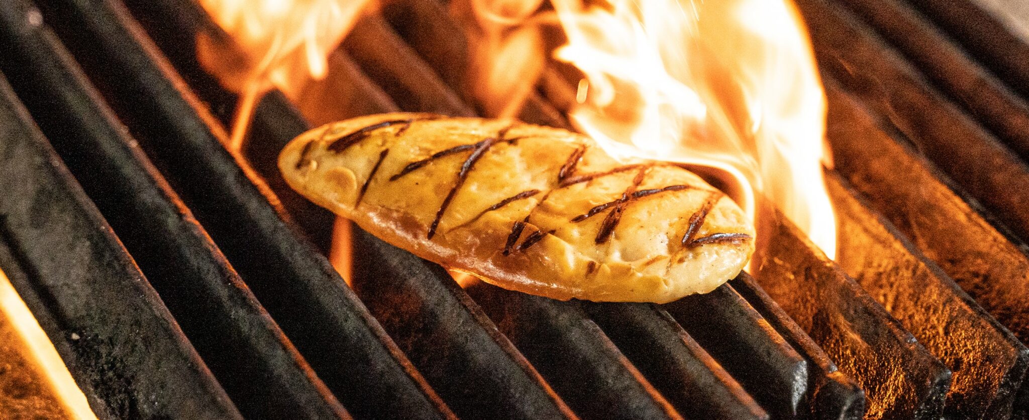 The science of cultivated meat | GFI APAC