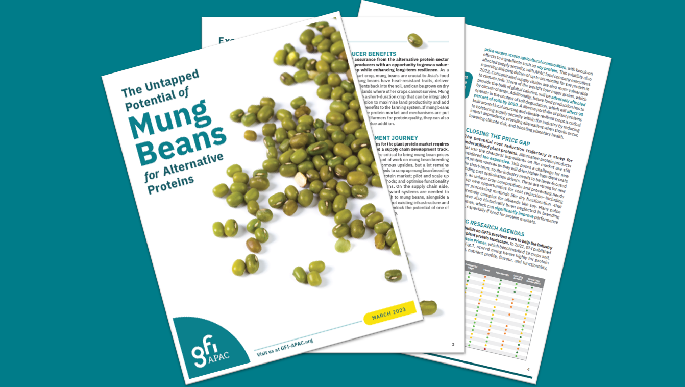 New Report Reveals the Untapped Potential of Mung Beans for Alternative ...